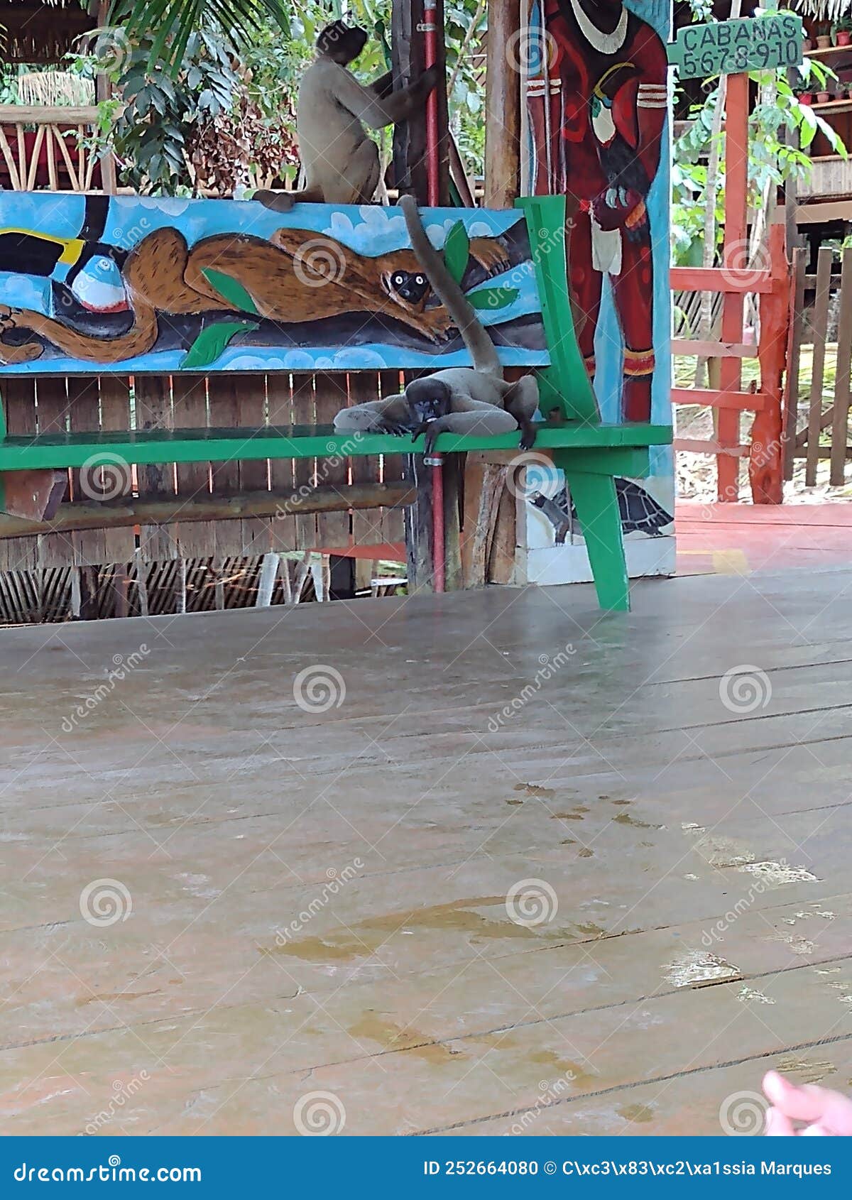Monckeys in the Amazon Jungle Editorial Image - Image of rainforest ...