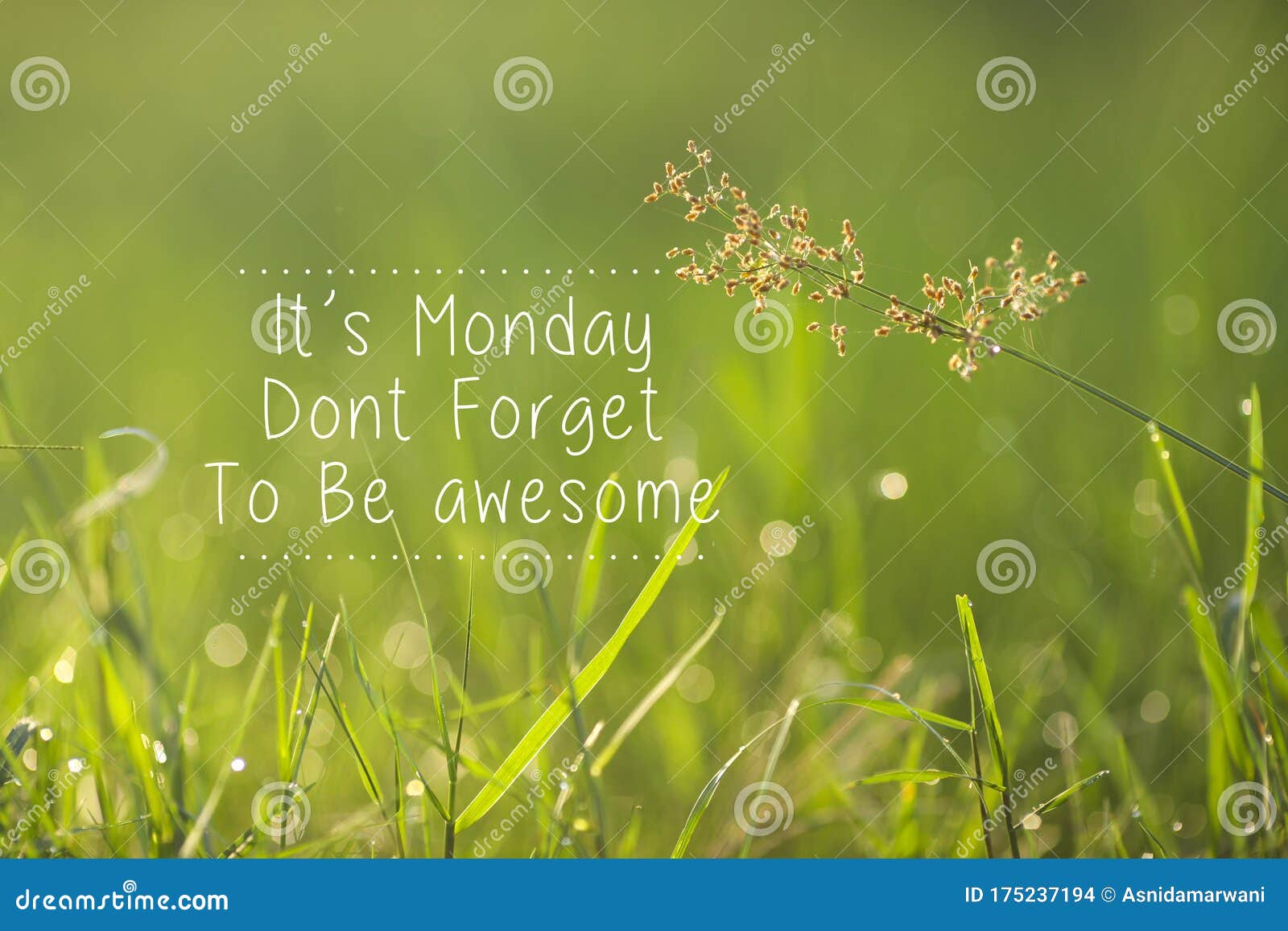 Monday Inspirational Greeting - Its Monday, Don`t Forget To Be Awesome ... Monday Inspirational Greeting - Its Monday, Don`t Forget To Be Awesome ...