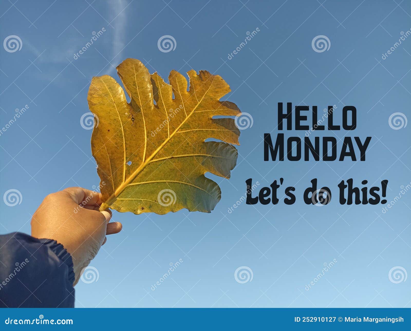 Inspirational Motivational Monday Quote - Hello Monday. Let's Do This ... Inspirational Motivational Monday Quote - Hello Monday. Let's Do This ...