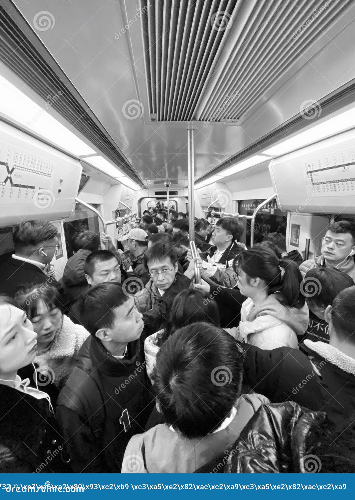 The Crowded Bus Carriages Were Crowded With Passengers. In Shenzhen ...