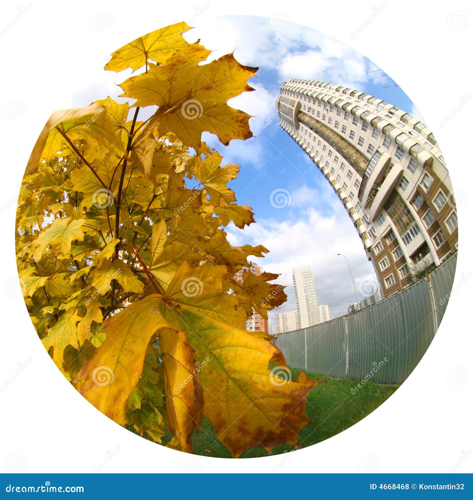 Monde rond photo stock. Image du automne, globe, poissons - 4668468