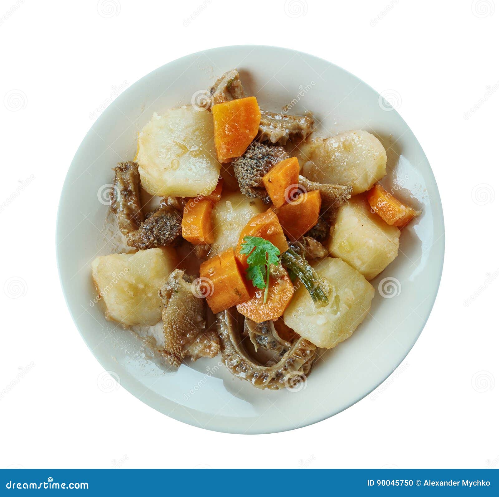 Mondongo stock photo. Image of cooked, lunch, slow, eating - 90045750