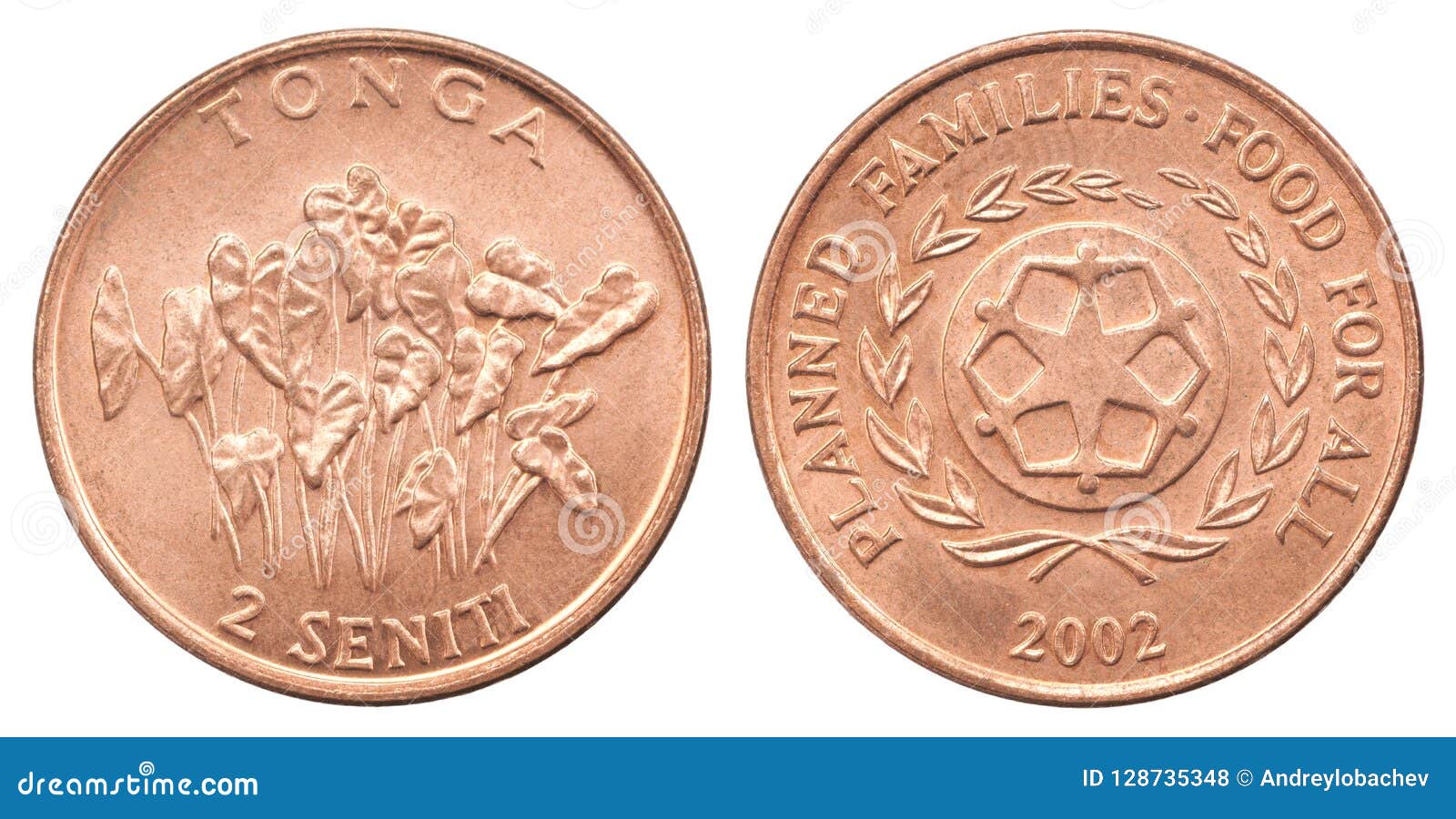 Moneda Tonga foto de archivo. Imagen de aislado, finanzas - 128735348