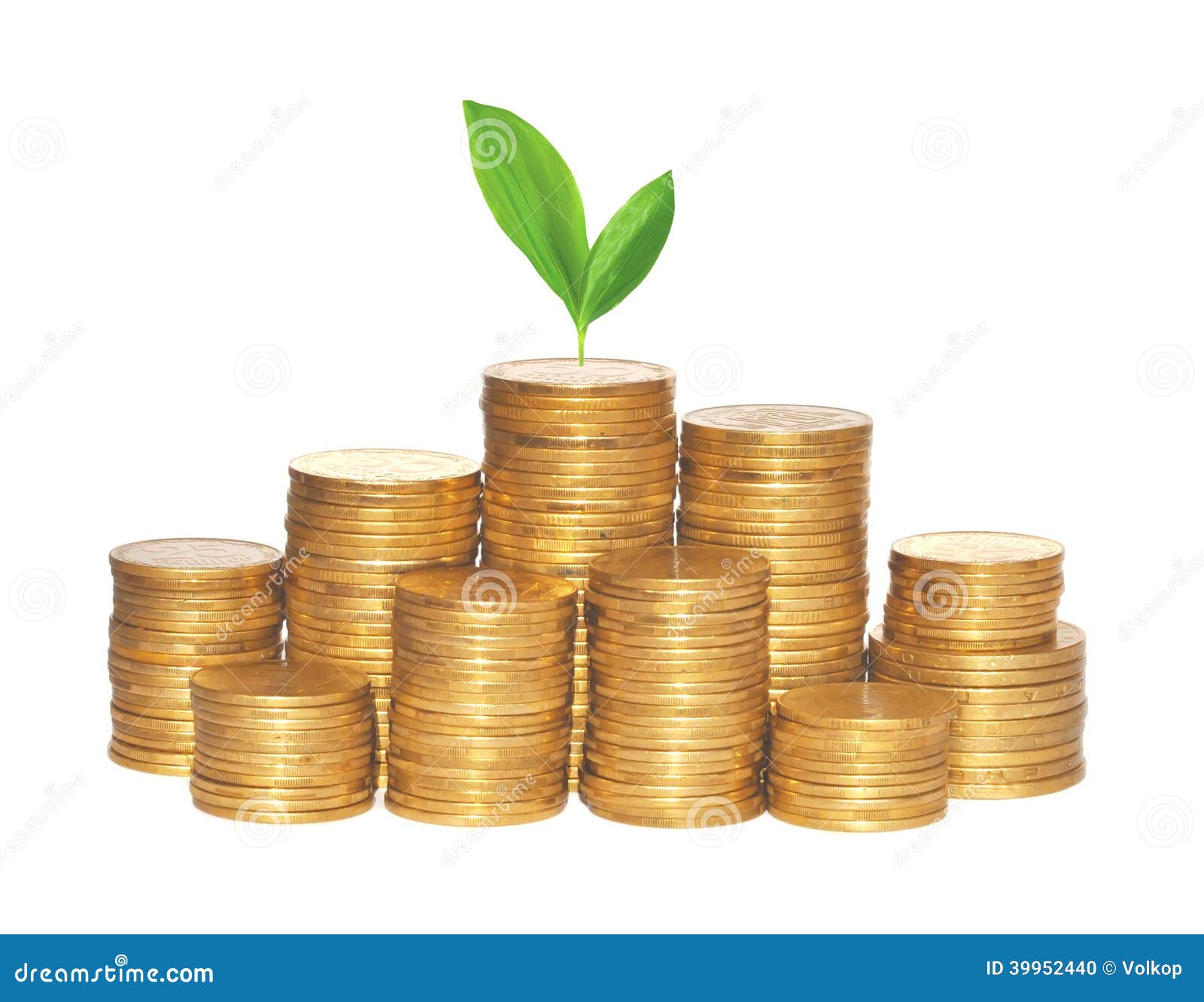 Monedas De Oro Y Planta Verde Aisladas En Blanco Foto de archivo ...