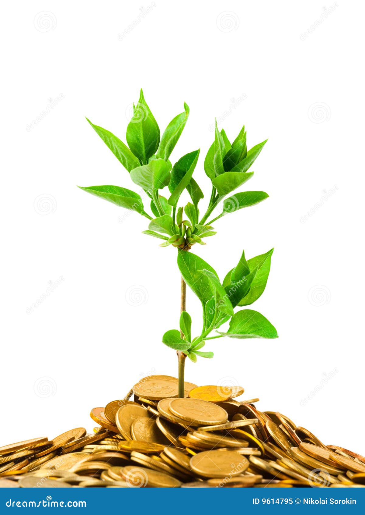Monedas y planta imagen de archivo. Imagen de verde, mejora - 9614795