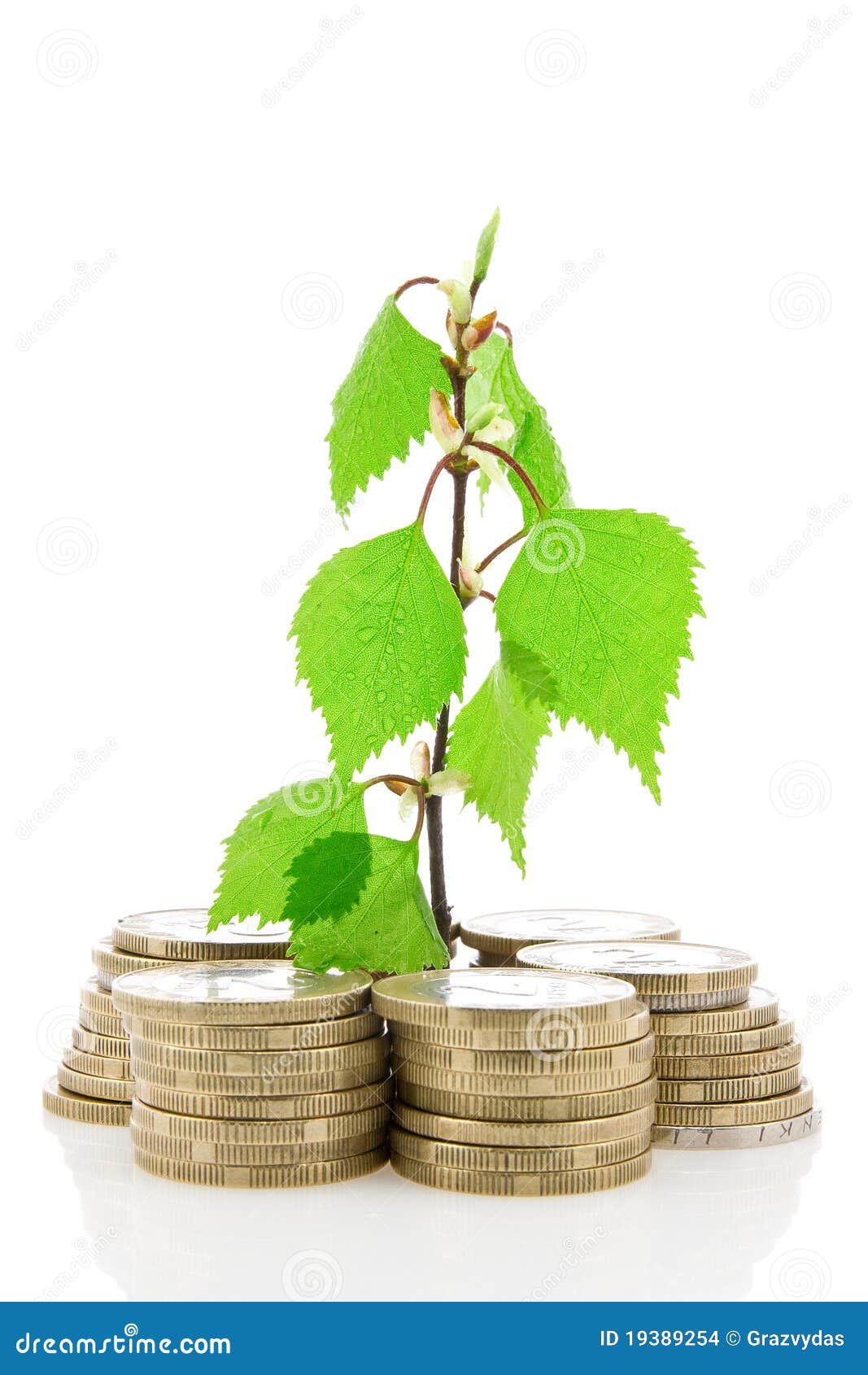 Monedas y planta verde foto de archivo. Imagen de gane - 19389254