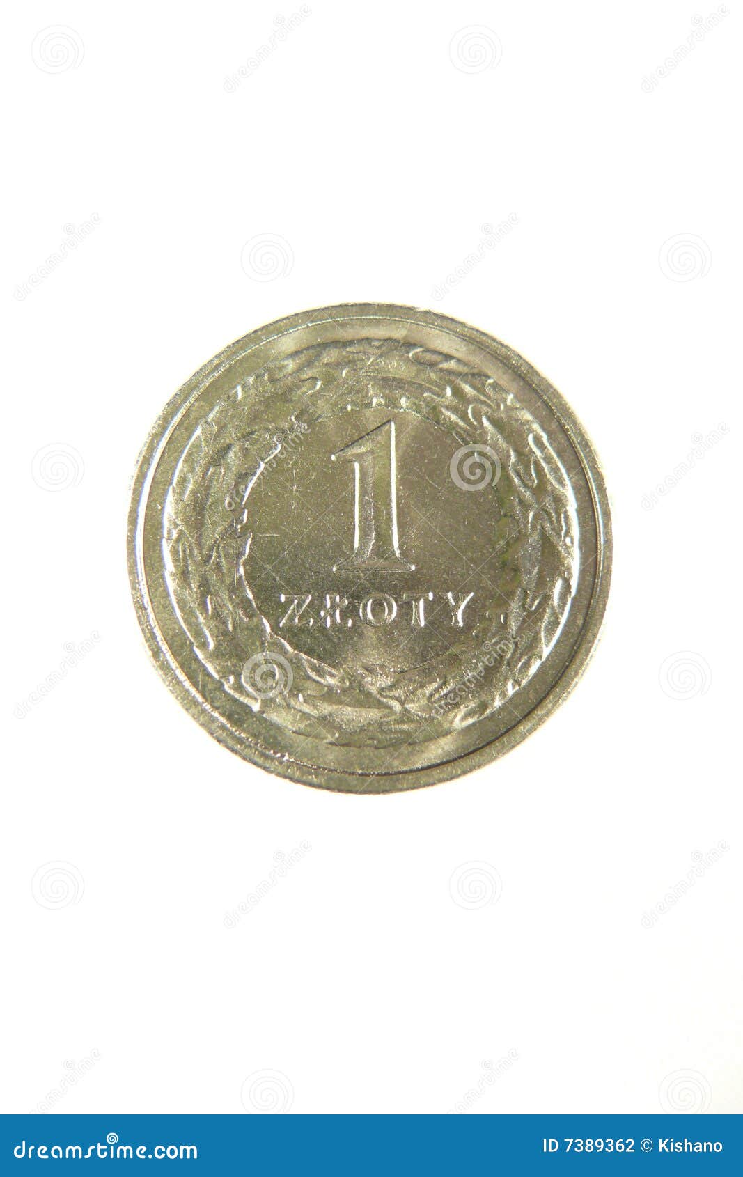 Moneta polacca d'argento fotografia stock. Immagine di argento - 7389362