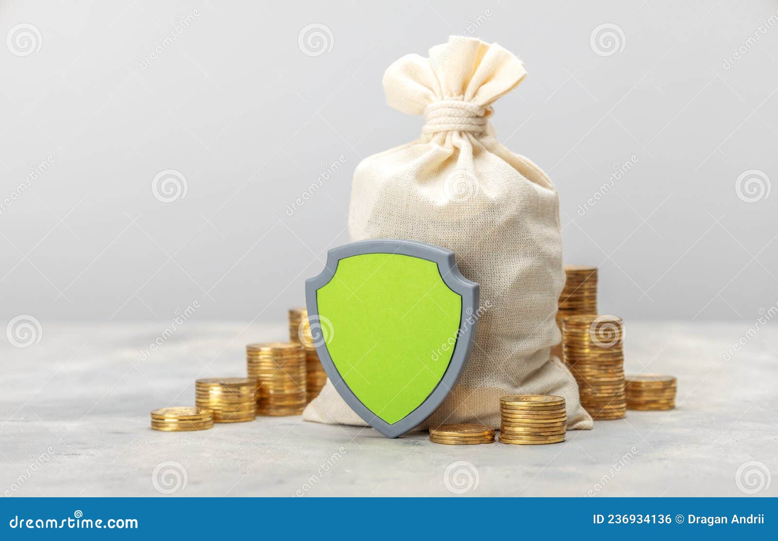 Money Bag and Shield. Savings Protection. Money Bag and Coins with a ...