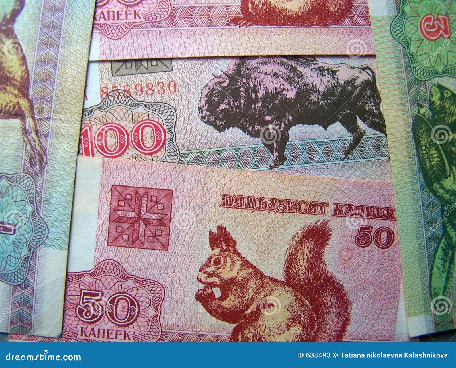 Money of Belarus stock image. Image of cash, bison, banknotes - 638493