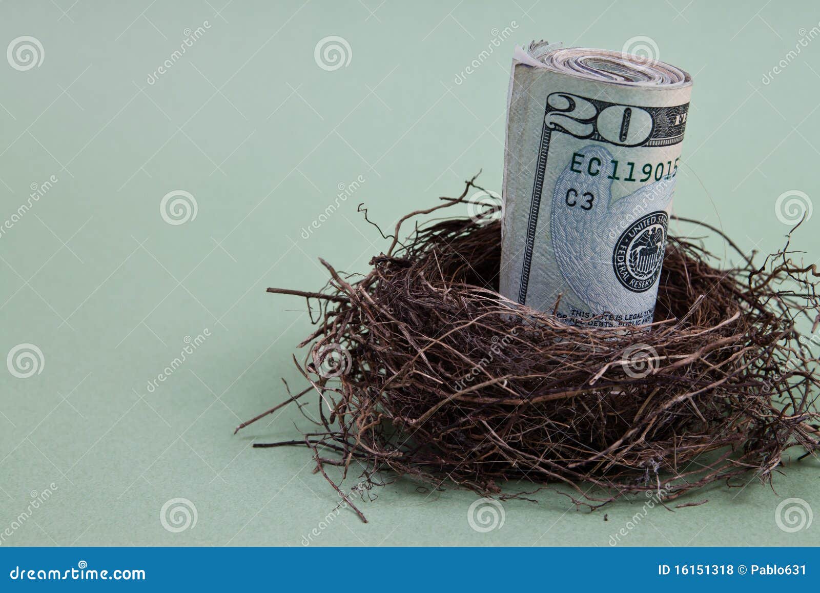 Money in bird nest stock photo. Image of nest, money - 16151318