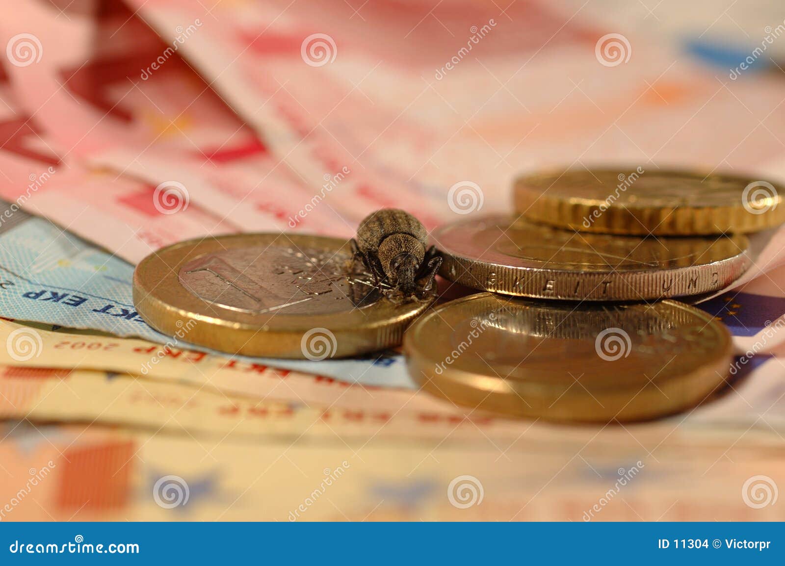 Money bug stock photo. Image of bank, beatle, insect, money - 11304