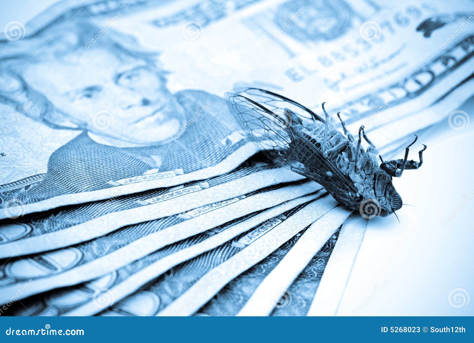 Money Bug Blues stock image. Image of detail, money, america - 5268023