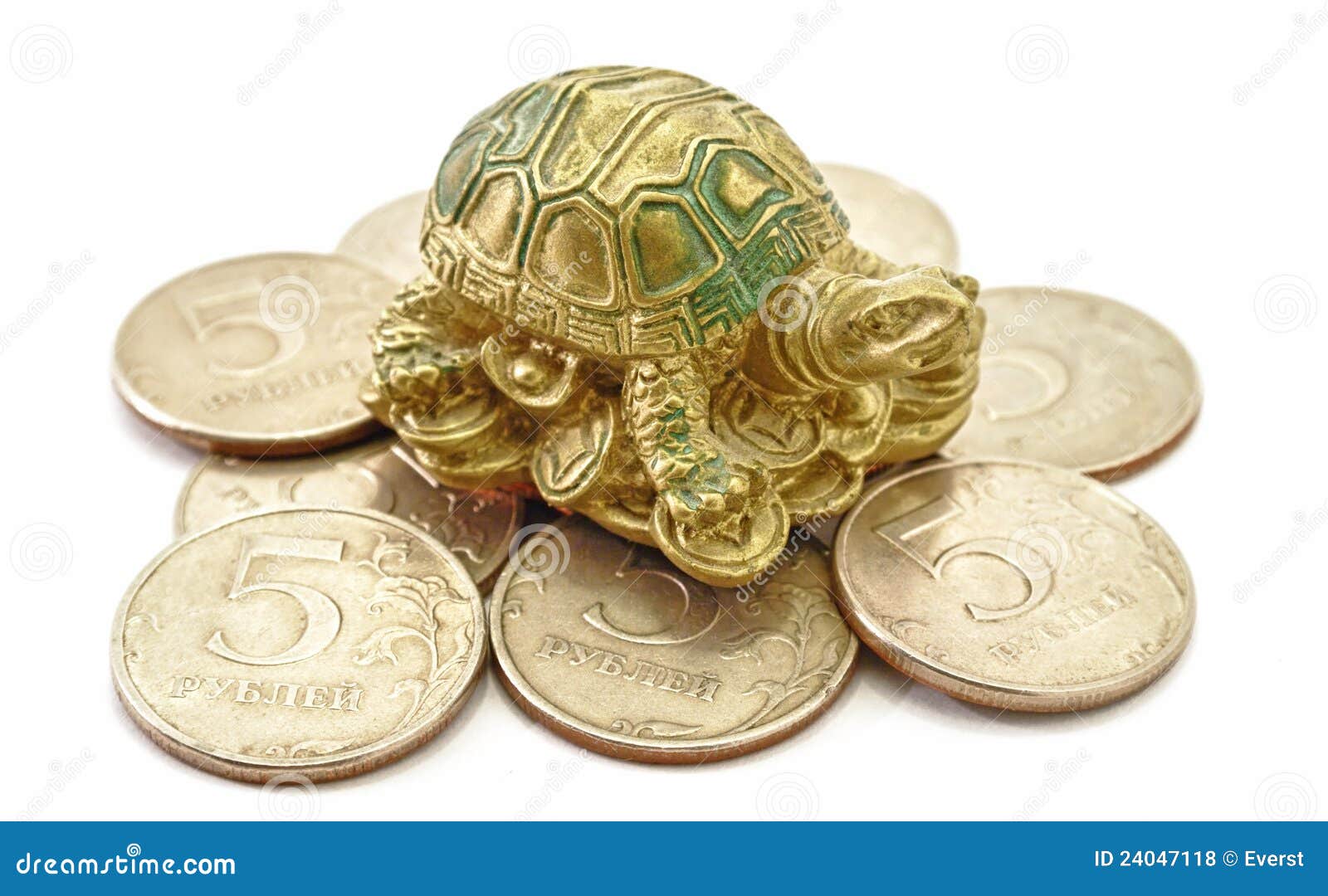Money Coins with Turtle stock photo. Image of finance - 24047118