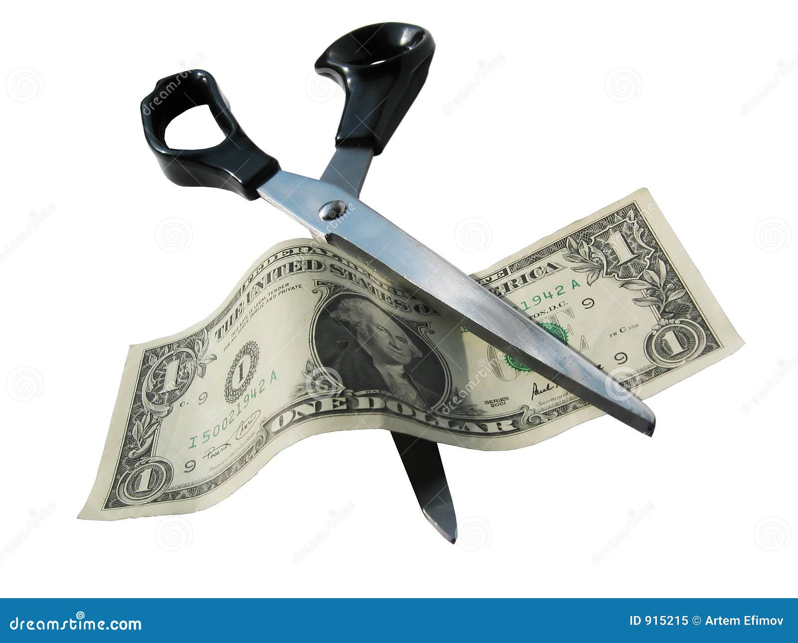 Money cut stock image. Image of slice, bill, sliced, cash - 915215