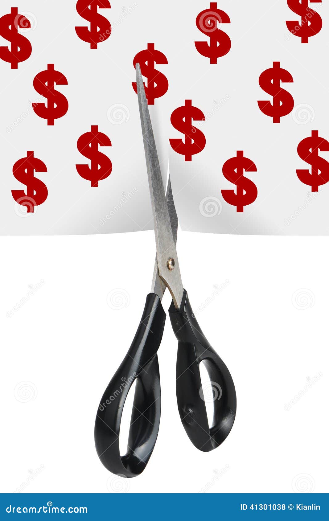 Money cut stock photo. Image of bank, gamble, isolated - 41301038