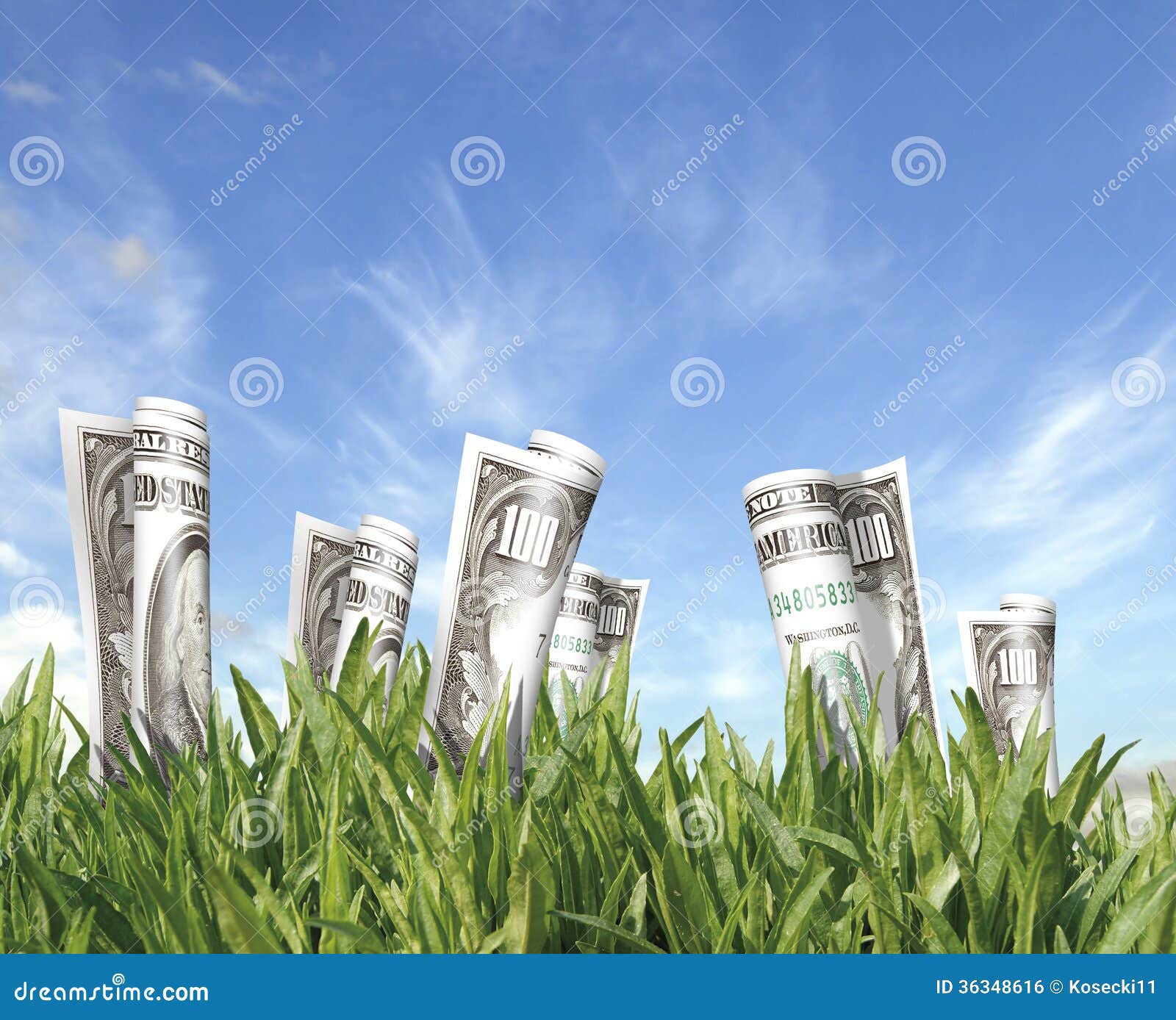 Money field stock photo. Image of inflation, finance - 36348616