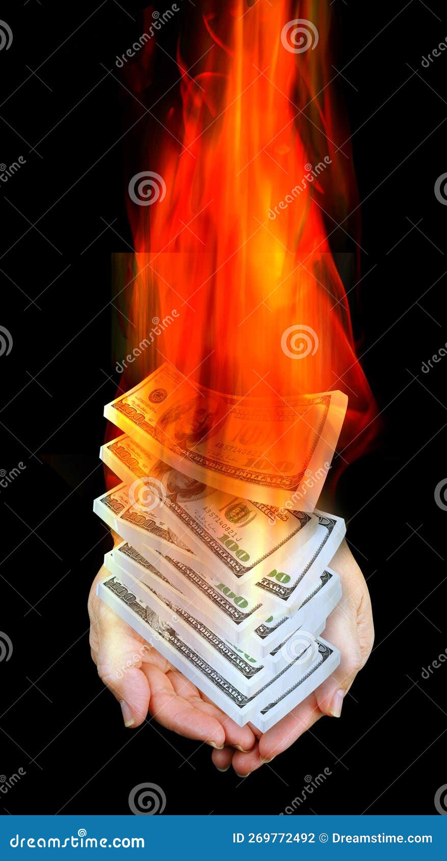 Money on fire stock photo. Image of debt, forecasting - 269772492