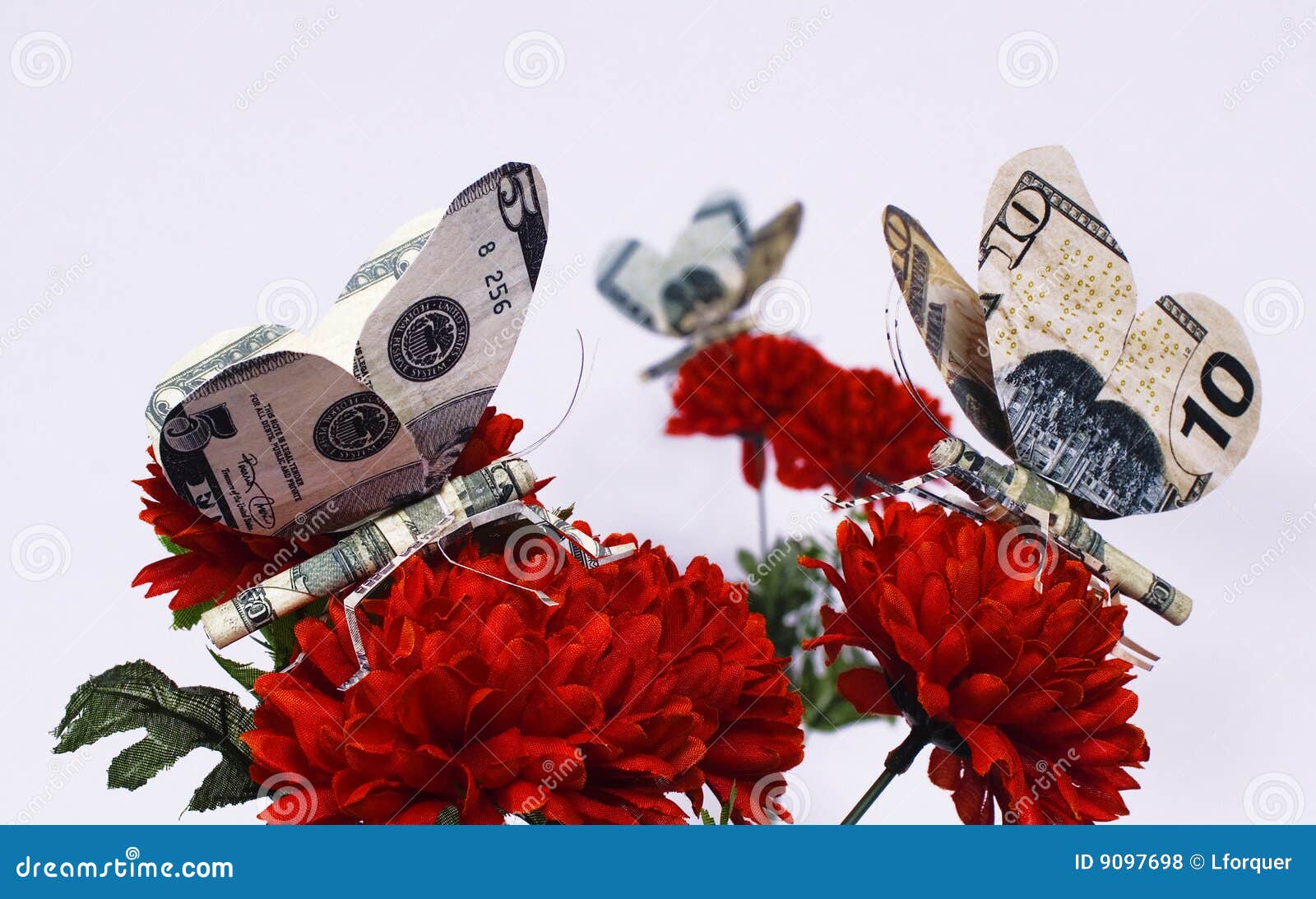 Money Flies stock photo. Image of funds, butterfly, nature - 9097698