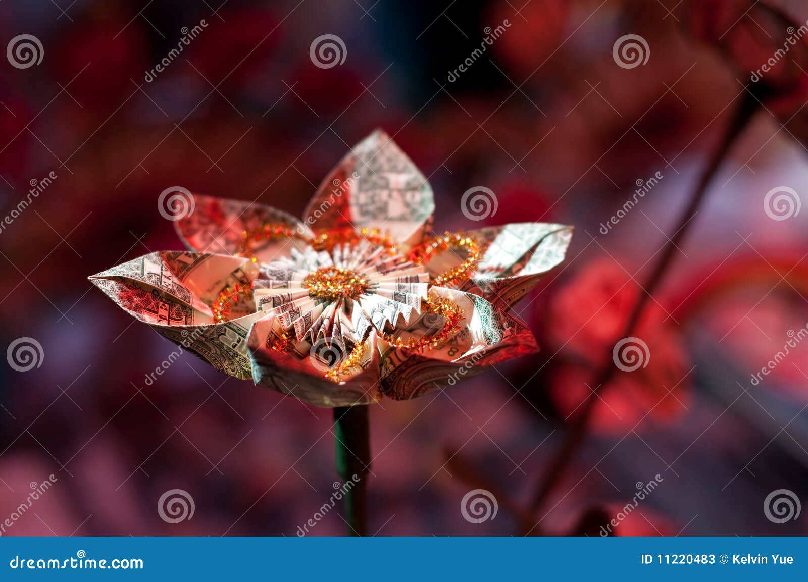 Money Flower stock image. Image of shape, fold, gift - 11220483