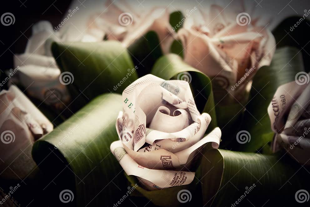 Money flowers stock photo. Image of rich, grow, currency - 26099548