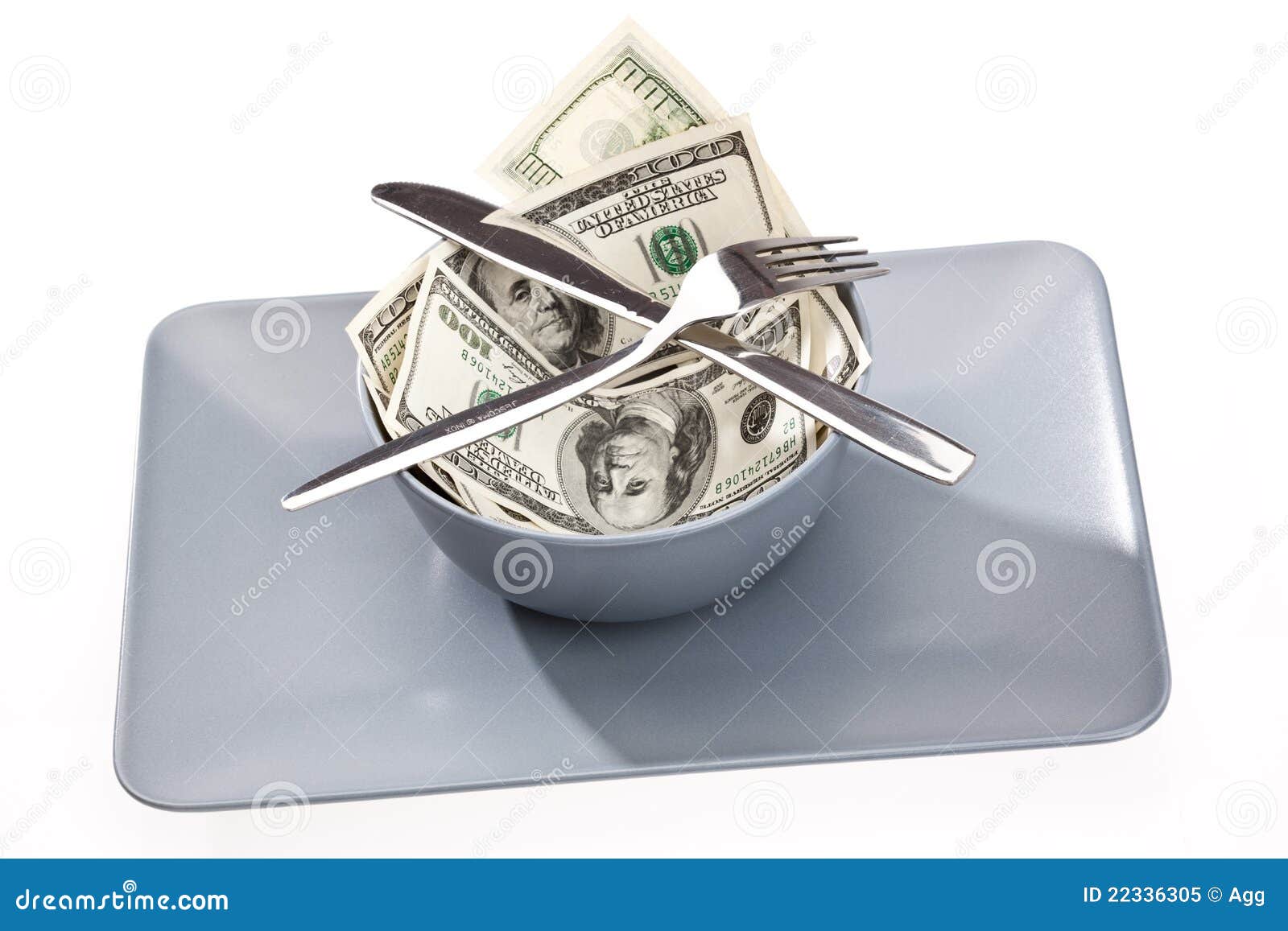 Money food stock image. Image of bank, dollar, food, dish - 22336305