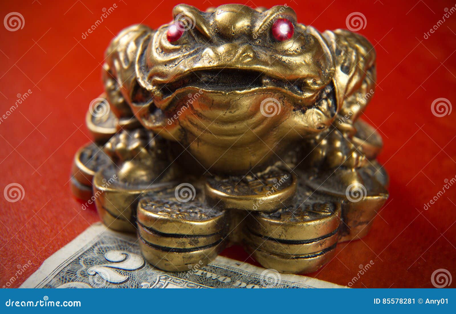 Money Frog and Two Dollars. Stock Image - Image of finance, affluence ...
