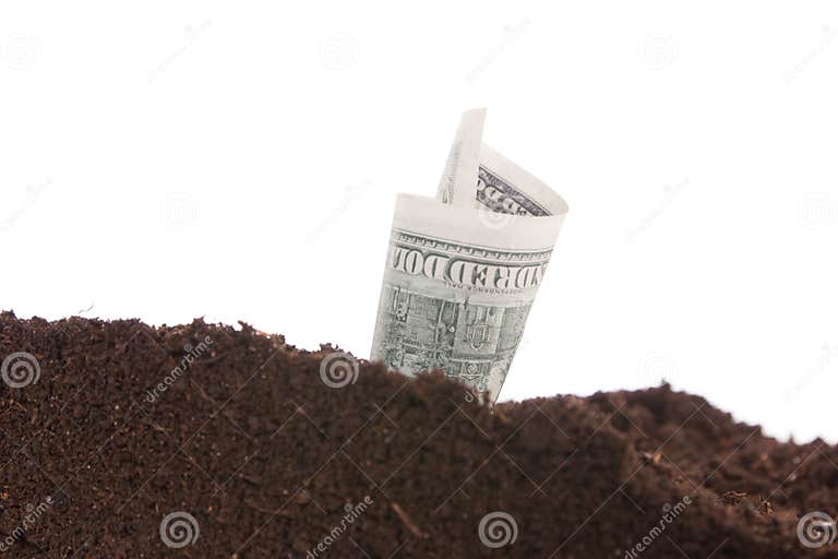 Money in the Ground on a White Background Stock Photo - Image of humus ...