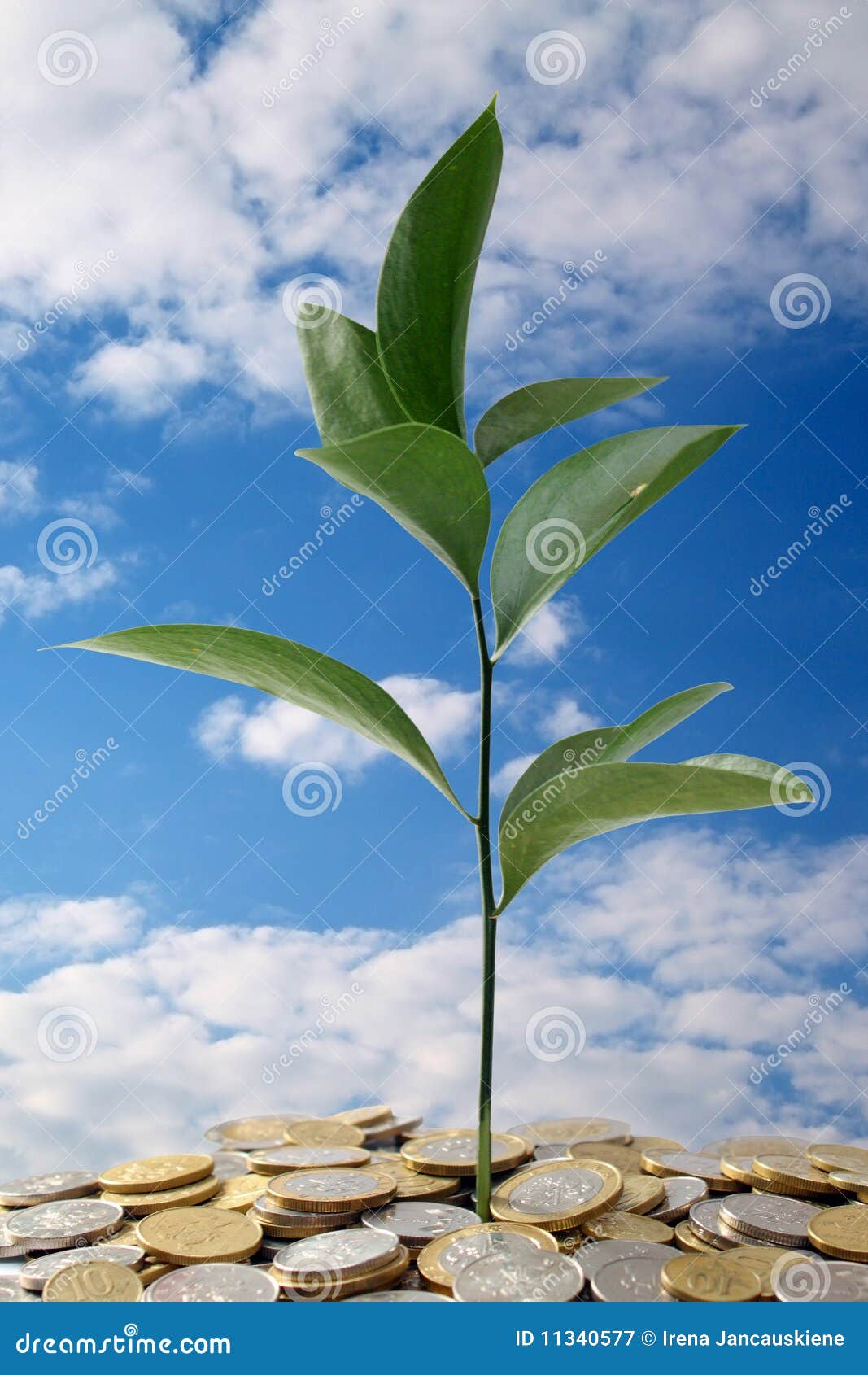 Money grow concept stock image. Image of care, aspiration - 11340577