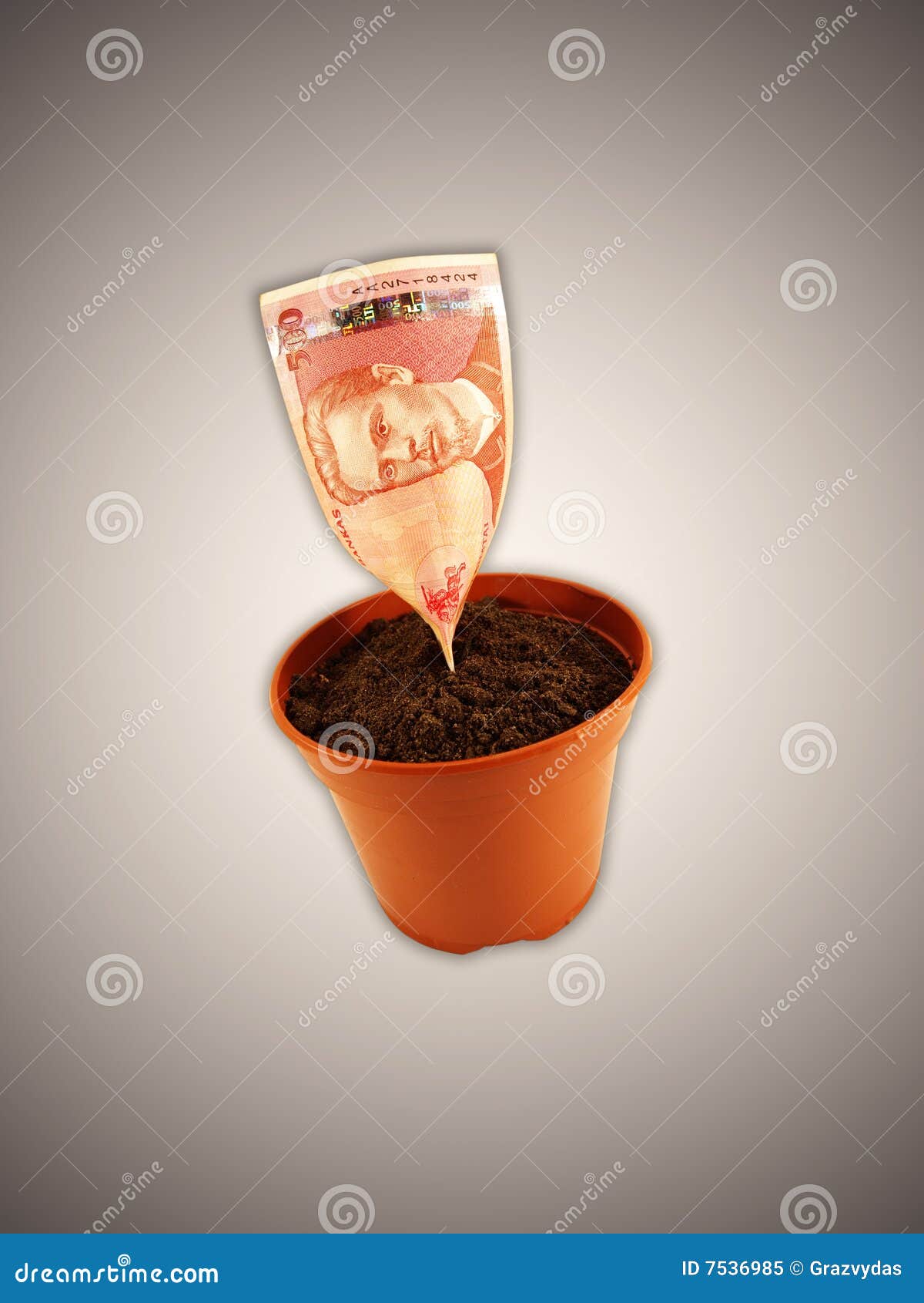 Money growing stock image. Image of finance, litas, fund - 7536985