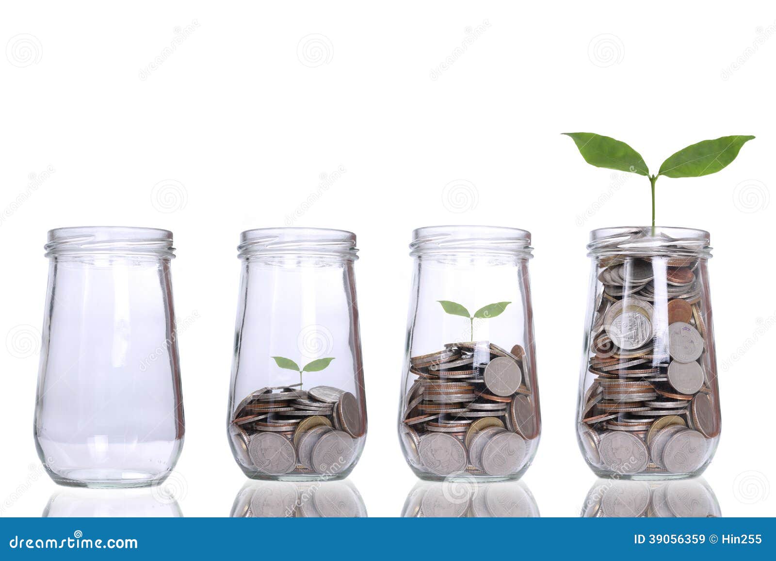Money Growing with Tree Growing Concept Stock Image - Image of price ...
