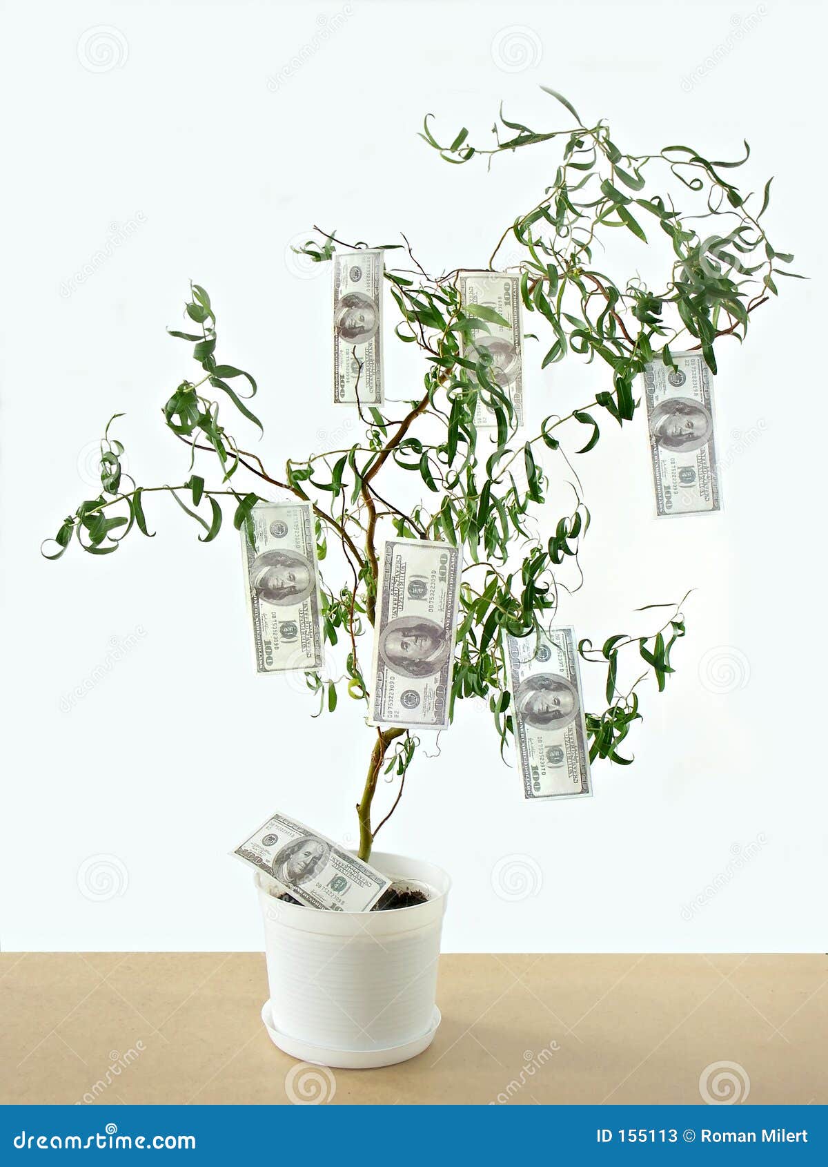 Money Grows On Trees Poem