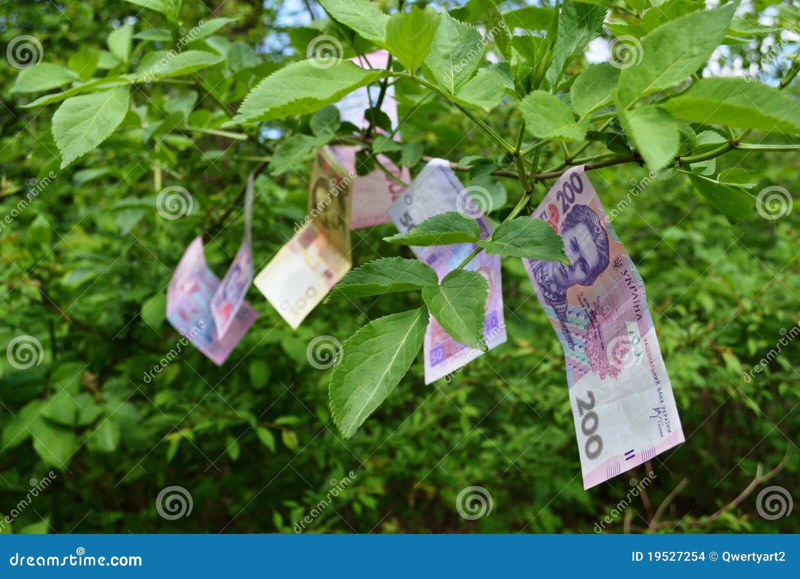 Money grows on trees stock photo. Image of banknotes - 19527254