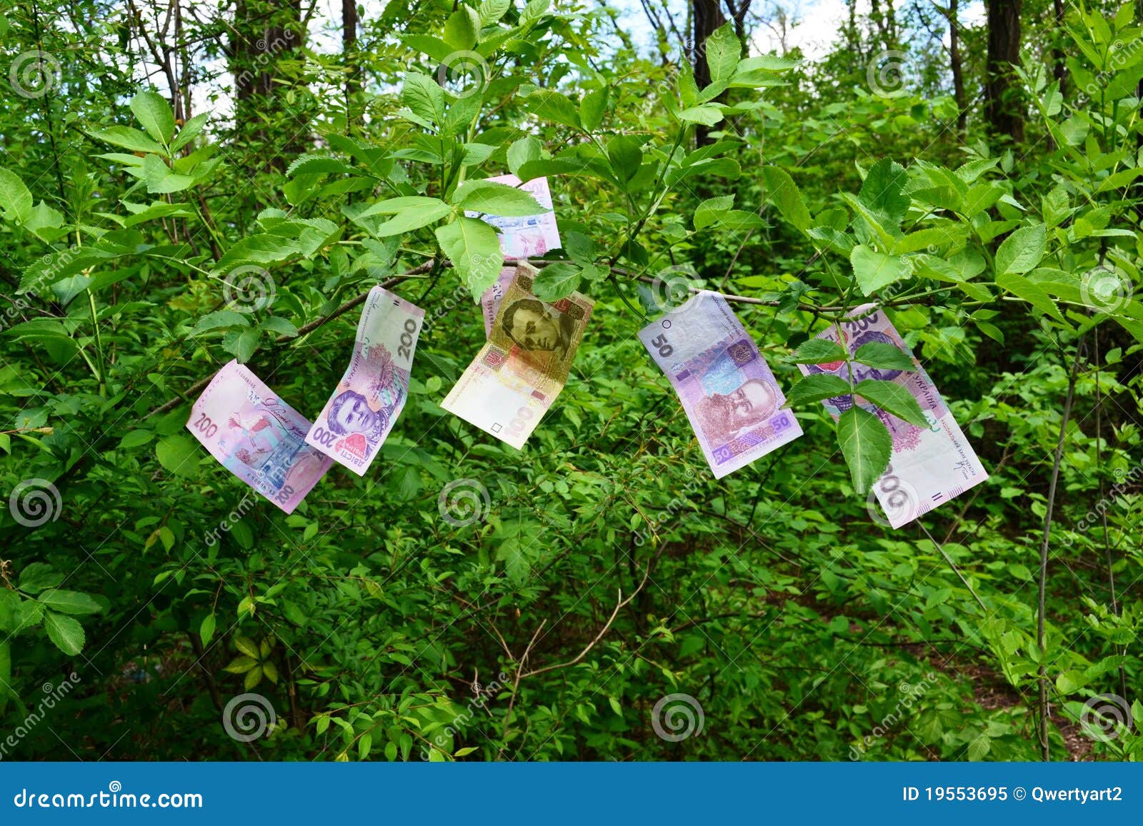 Money grows on trees stock image. Image of paper, tree - 19553695