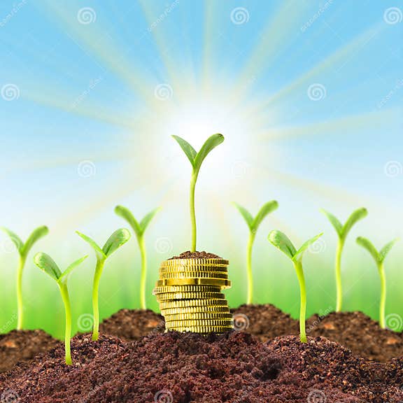 Money growth. stock image. Image of accounts, interest - 28485565