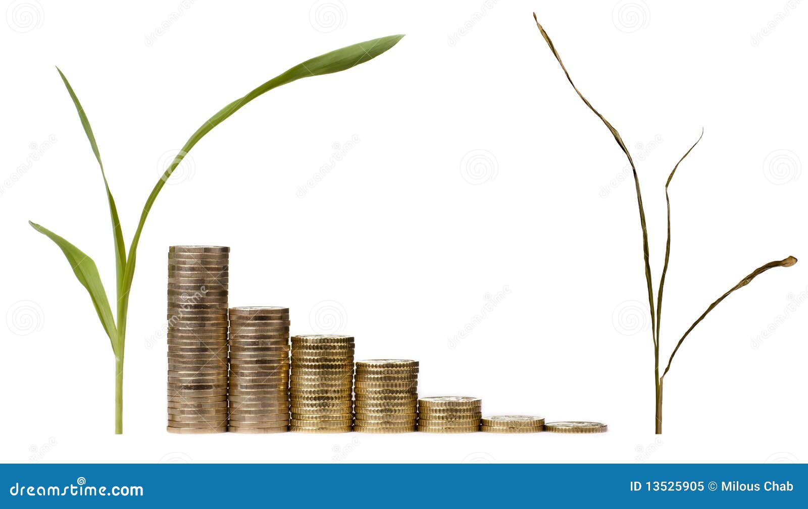 Money growth concept stock image. Image of grow, column - 13525905