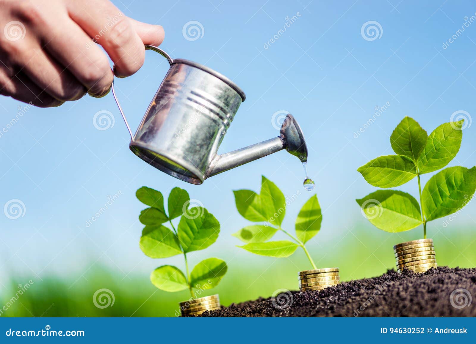 Money growth concept stock photo. Image of growing, wealth - 94630252
