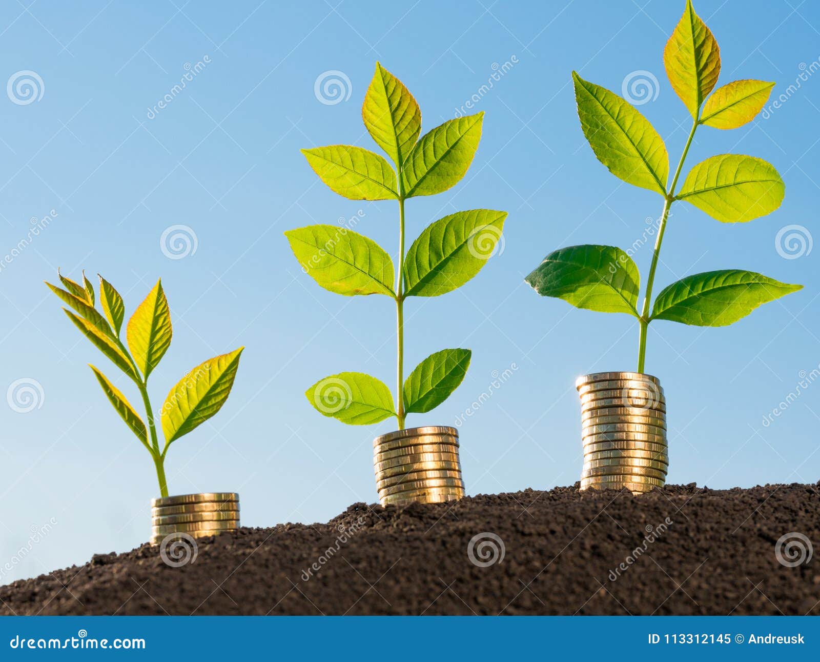 Money growth concept stock image. Image of banking, income - 113312145