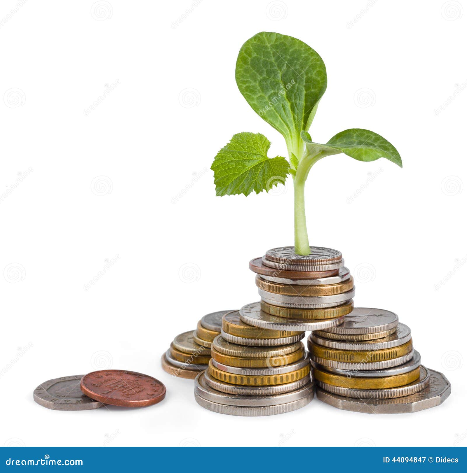 Money Growth or Ecology Concept Stock Image - Image of bank, growth ...