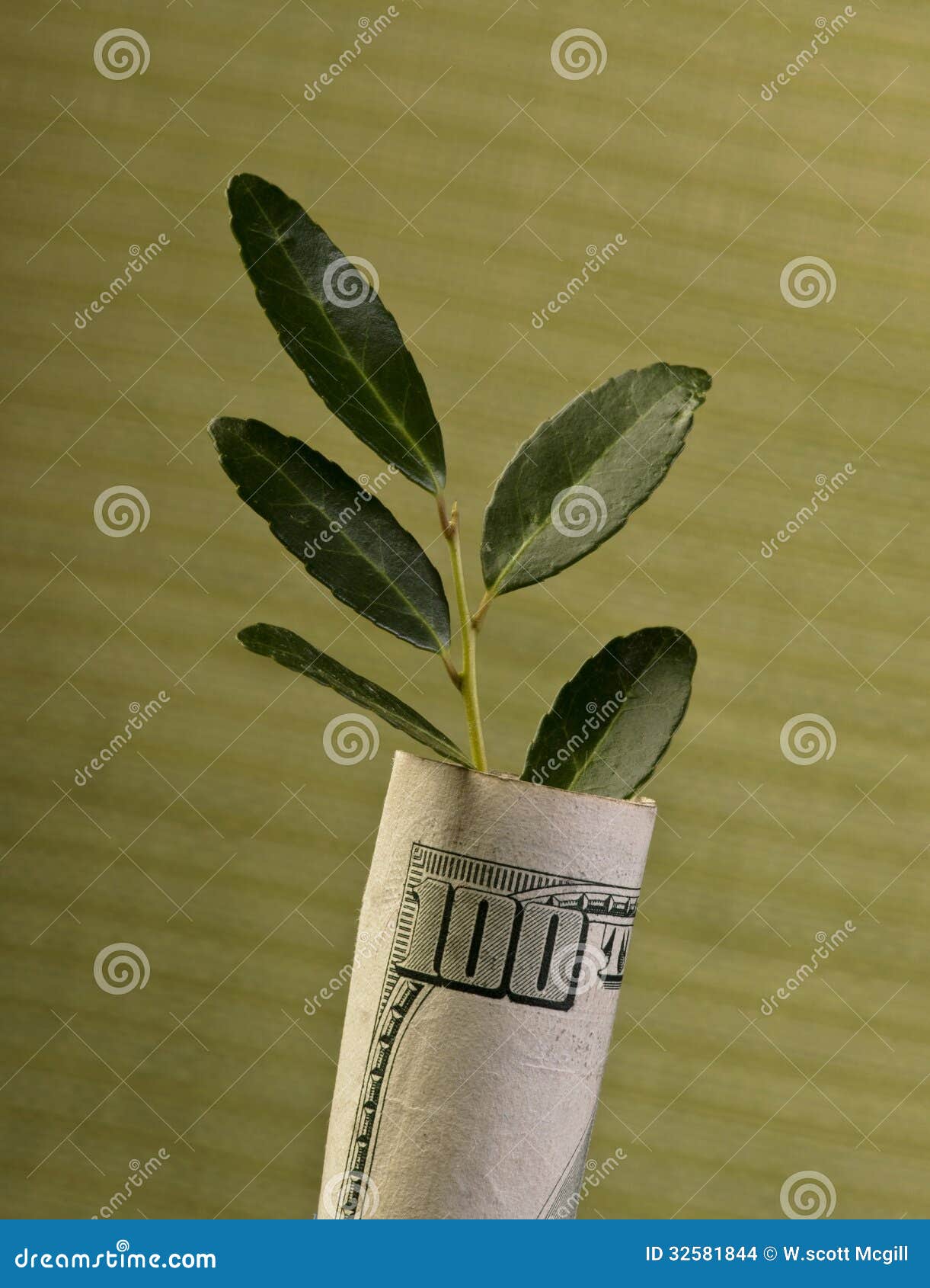 Money Growth. stock photo. Image of savings, grow, cash - 32581844
