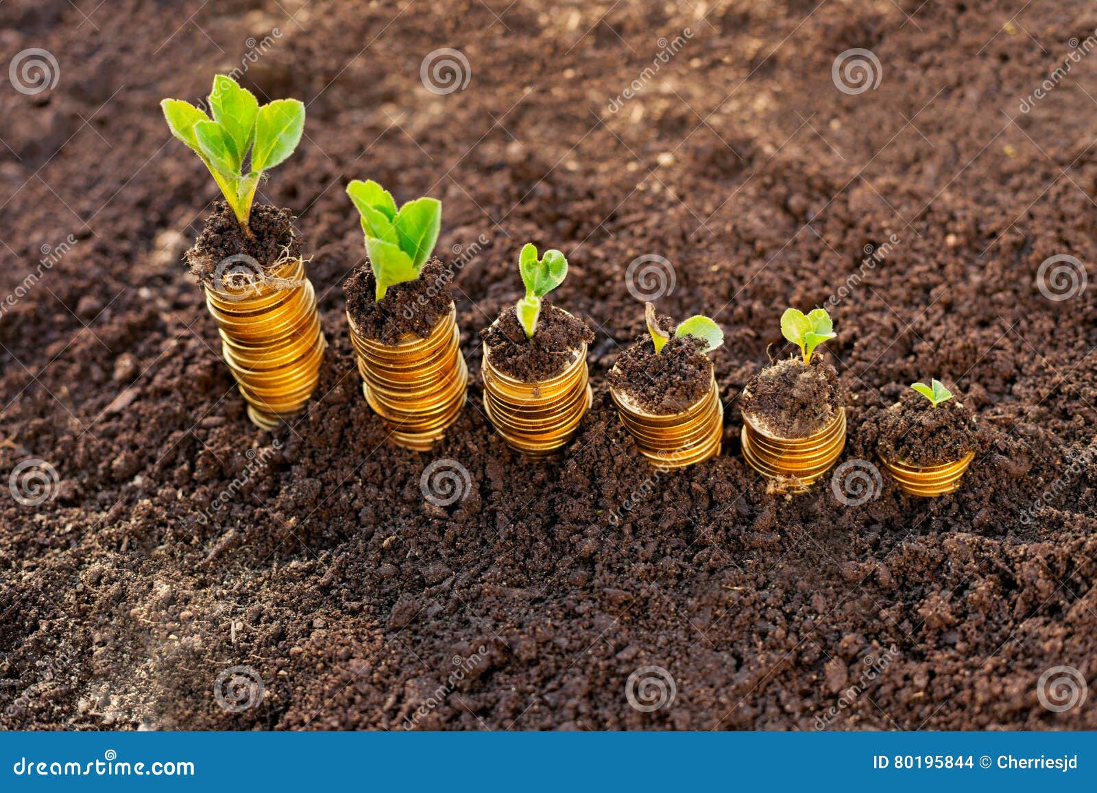 Money growth stock photo. Image of investment, income - 80195844