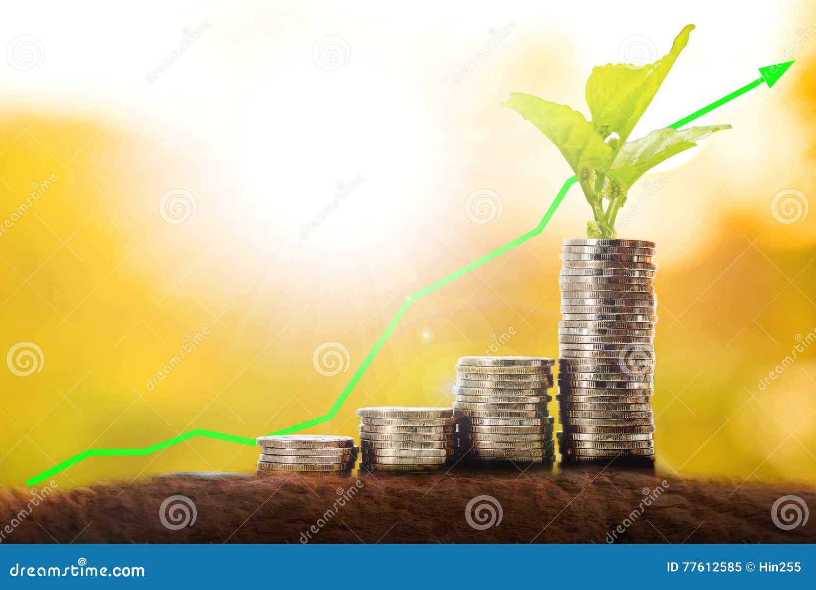 Money Growth with Stack Coin Stock Image - Image of cash, hand: 77612585