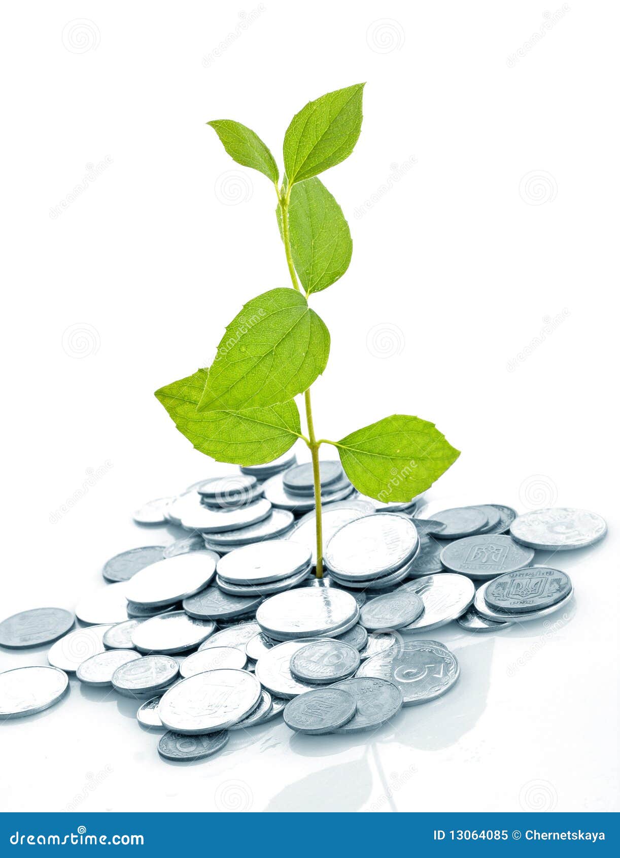 Money income stock image. Image of coin, grow, market - 13064085