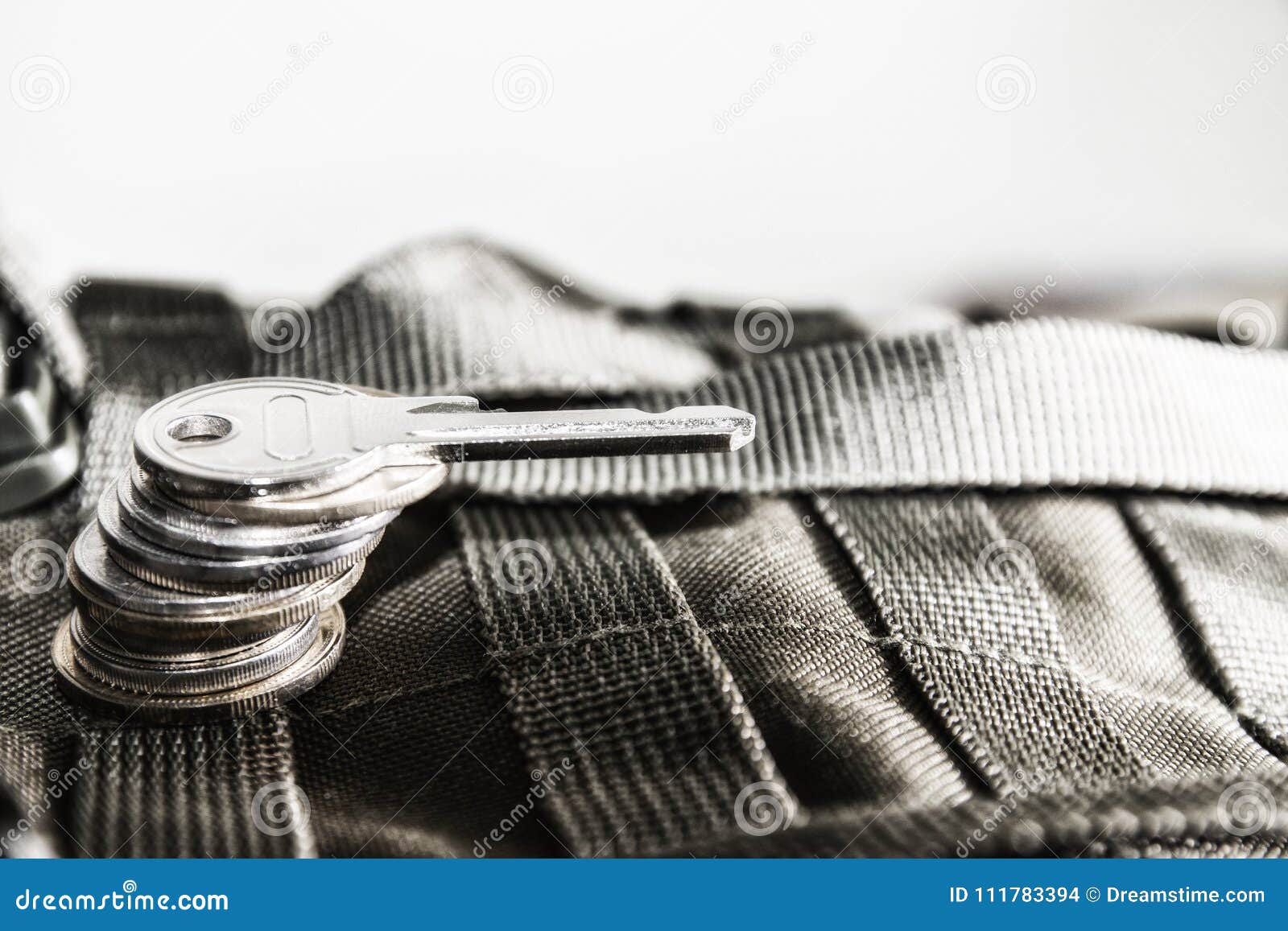 Money is the key stock photo. Image of home, coins, wealth - 111783394