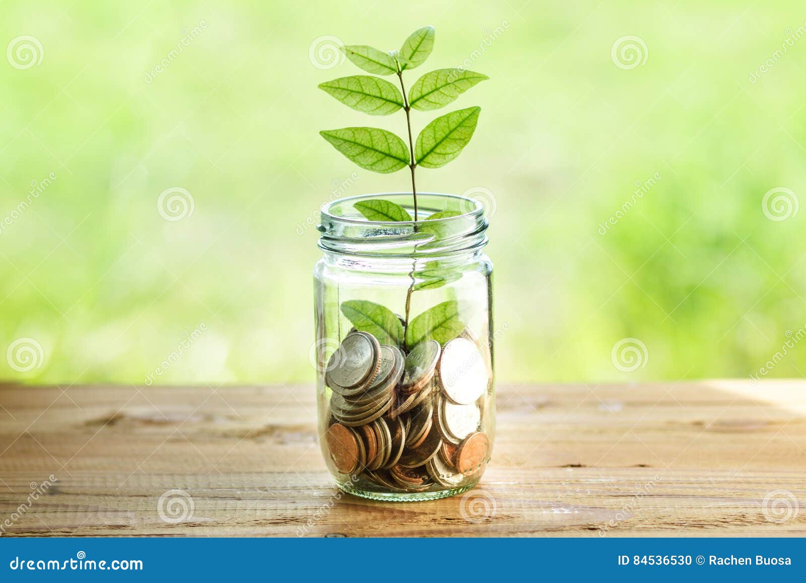 Money in nature stock photo. Image of save, small, grow - 84536530