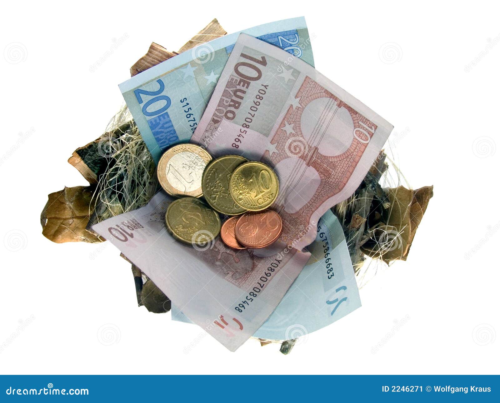 Money nest stock image. Image of nature, isolation, banknote - 2246271