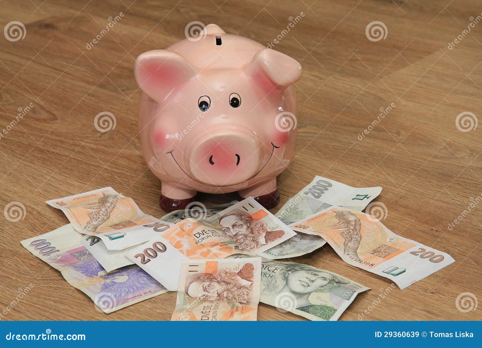 Money Pig stock image. Image of tiny, bill, czech, piggies - 29360639