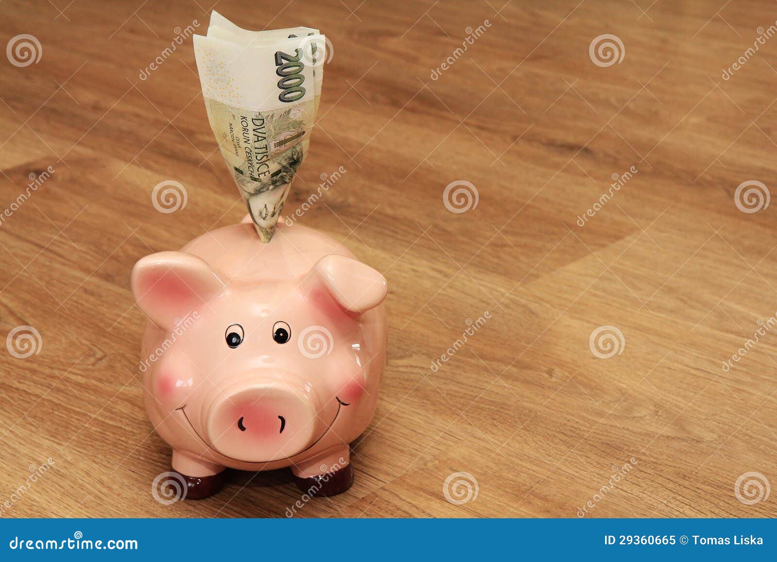 Money Pig stock image. Image of piggies, banks, concept - 29360665