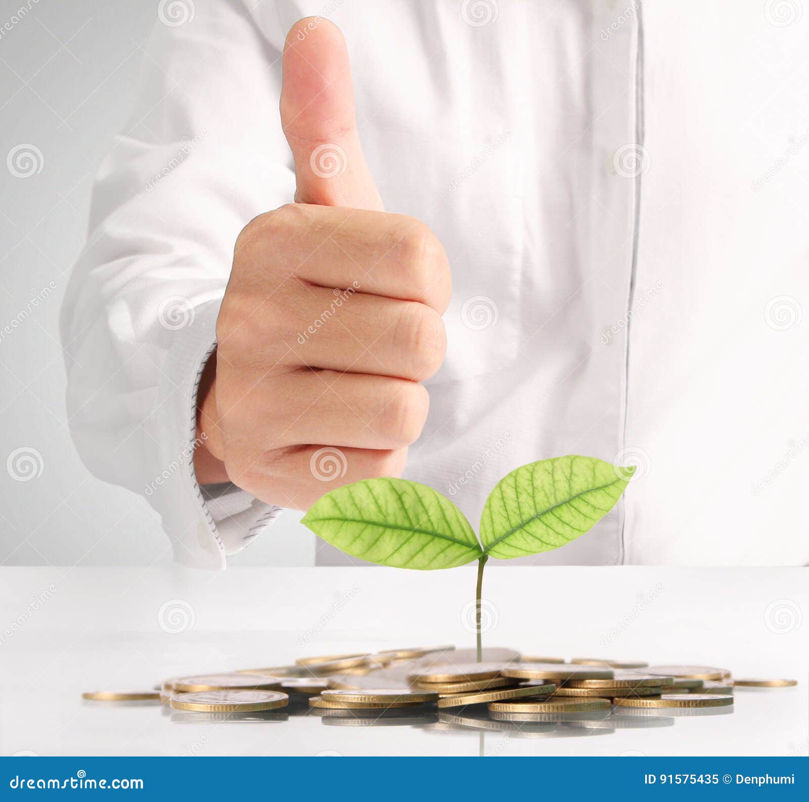 Money Plant Growing from Coins in Hand Stock Image - Image of care ...