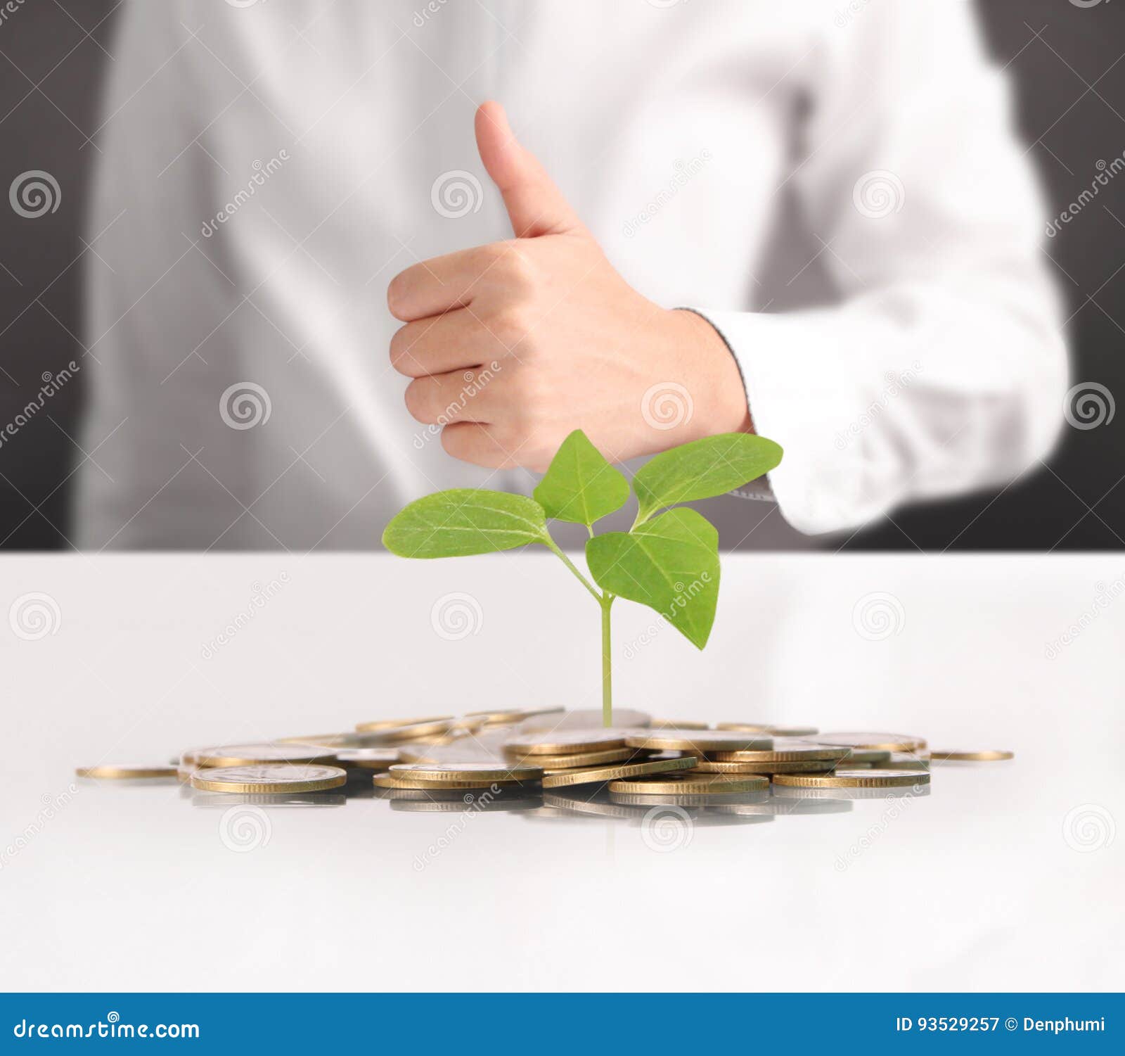 Money Plant Growing from Coins in Hand Stock Image - Image of heap ...