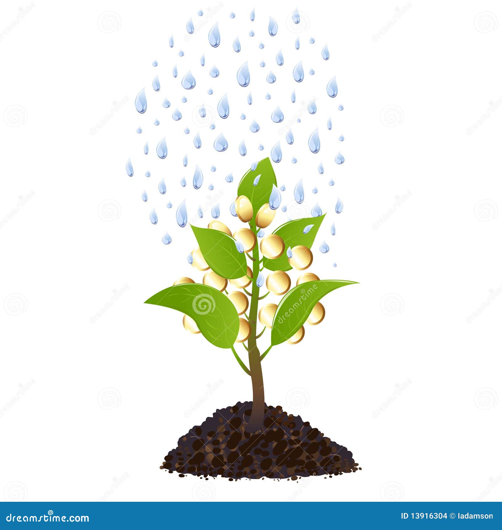 Money Plant with Rain Drops. Vector Stock Vector - Illustration of ...